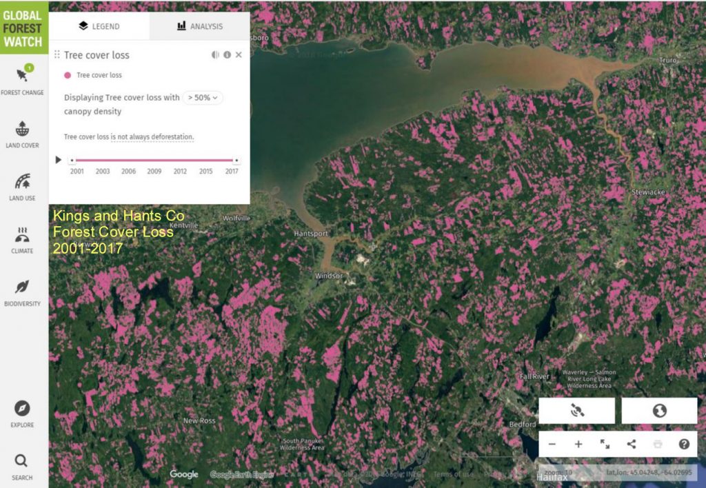 Nova Scotia Forest Matters | Forests for all species