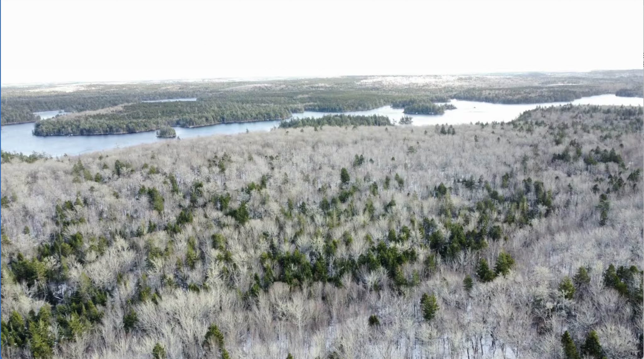 Nova Scotia Forest Matters | Forests for all species