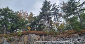 Maps | Nova Scotia Forest Matters