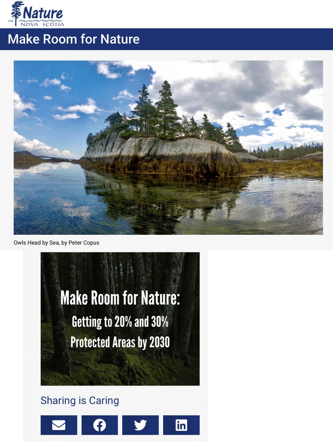 Nova Scotia Forest Matters | Forests for all species