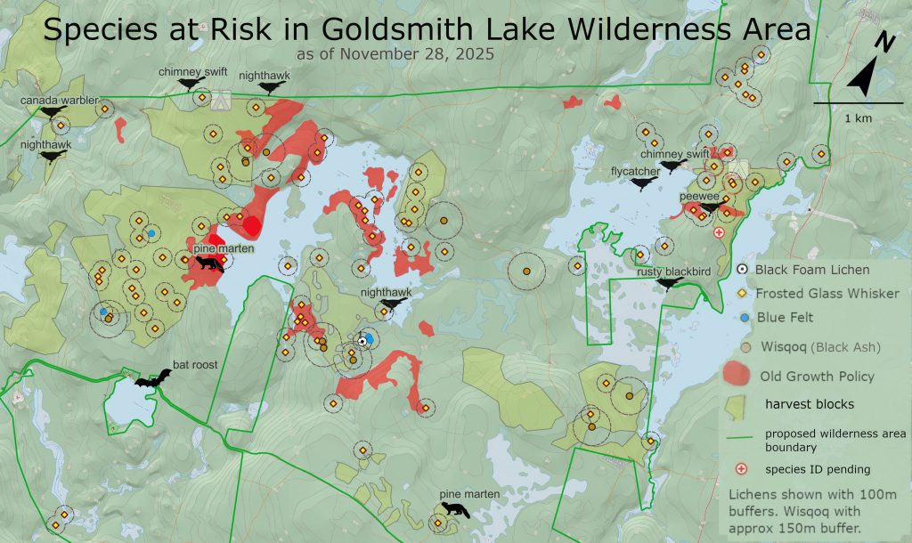 Nova Scotia Forest Matters | Forests for all species